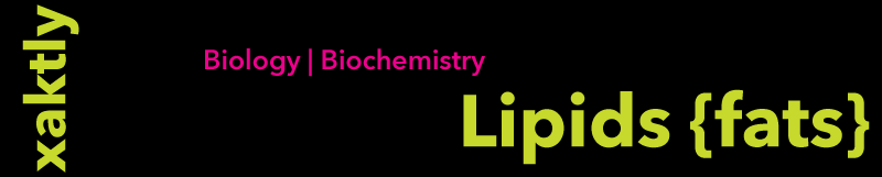 Your Blood Lipids Diabetes Education Online